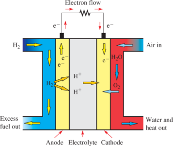 Fuel Cell: Types, Working, Application, Advantages & Disadvantage